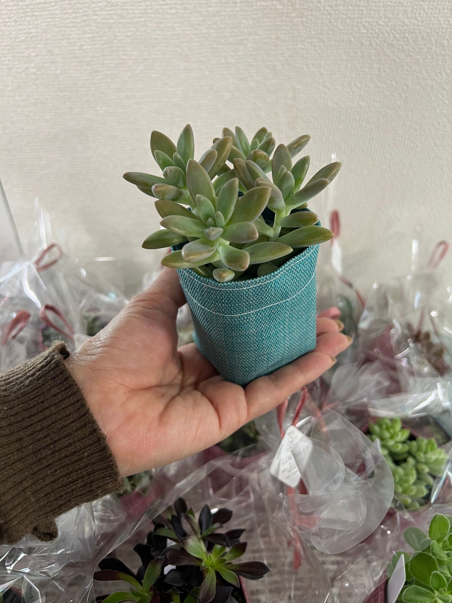 ジアス 様 | LORANS